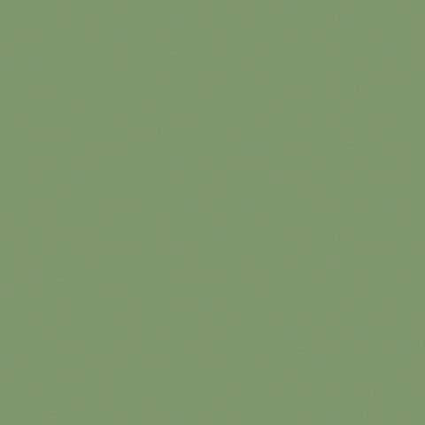 Soltis® Proof 502® Moss Green 70" 502V2-2158C – House of Canvas
